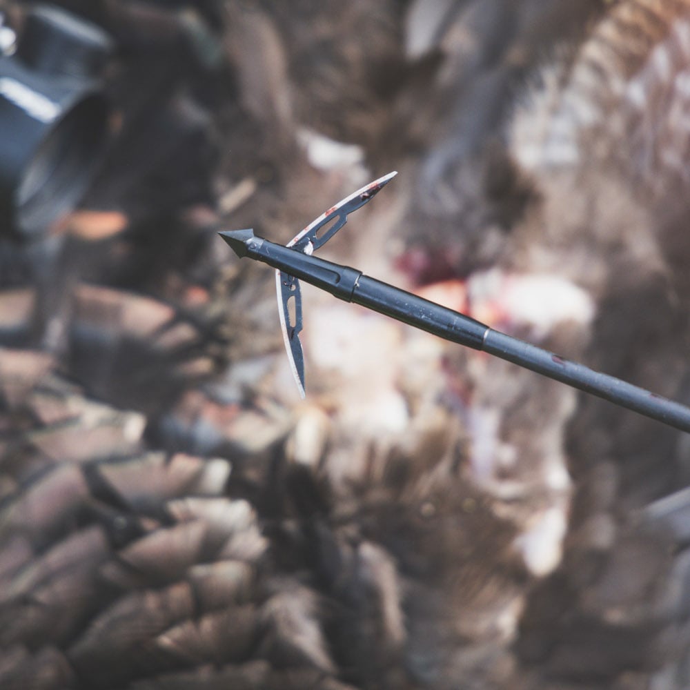 NAP Killzone Mechanical Broadhead | 2" Cutting Diameter