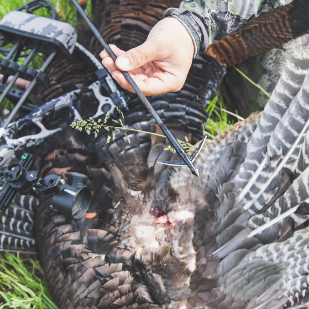 NAP Killzone Mechanical Broadhead | 2" Cutting Diameter